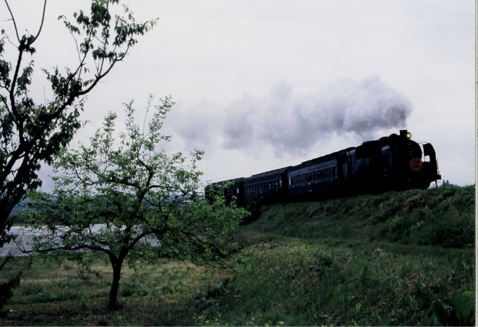 真岡鐵道 国鉄C11形蒸気機関車 SL会津只見号 C11 325 会津坂下駅 鉄道フォト・写真 by 二ヶ領用水の桜さん | レイルラボ ...