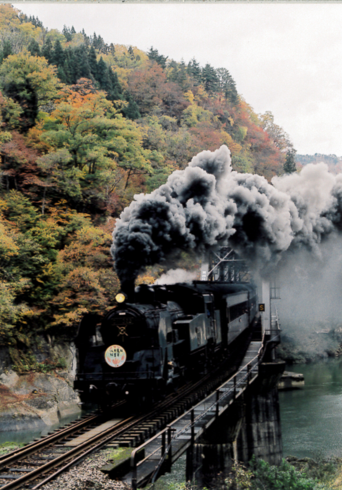真岡鐵道 国鉄C11形蒸気機関車 SL只見線紅葉号 C11 325 会津水沼駅 鉄道フォト・写真 by 二ヶ領用水の桜さん | レイルラボ ...