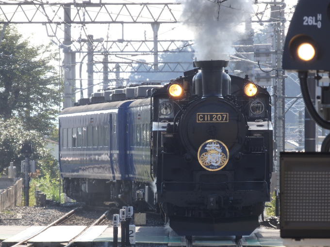 東武鉄道 国鉄C11形蒸気機関車 SL大樹 C11 207 下今市駅 鉄道フォト・写真 by takaaqui520さん | レイルラボ ...
