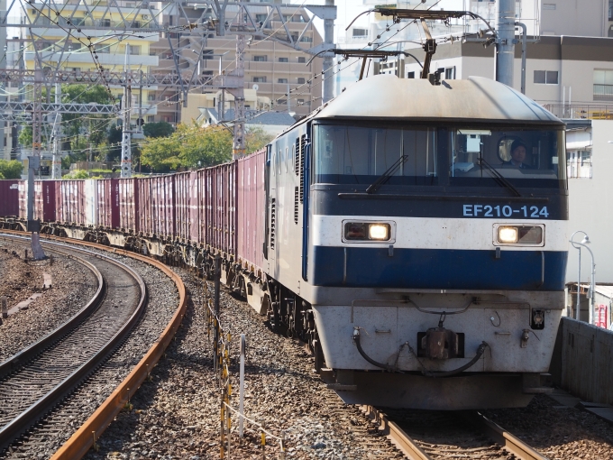JR貨物EF210形電気機関車 EF210-124 元町駅 (兵庫県|JR) 鉄道フォト・写真 by tokadaさん | レイルラボ(RailLab)