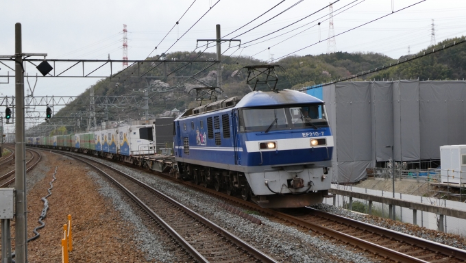 JR貨物EF210形電気機関車 EF210-7 島本駅 鉄道フォト・写真 by west-225さん | レイルラボ(RailLab)