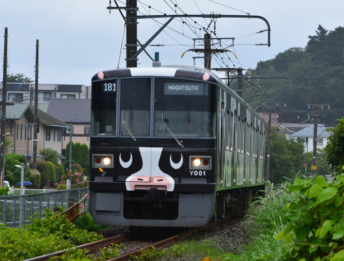 横浜高速鉄道Y000系電車 こどもの国ｰ恩田間。 鉄道フォト・写真 by Soraya_Projectさん | レイルラボ(RailLab)