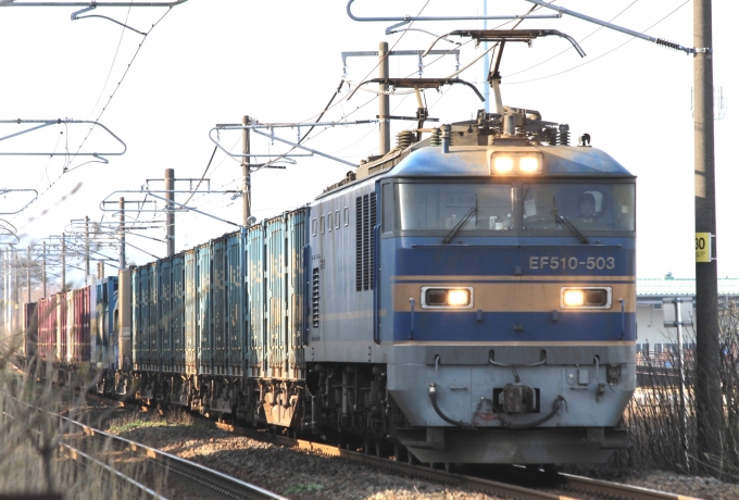 JR貨物 EF510形電気機関車 EF510-503 亀田駅 鉄道フォト・写真 by スーパー金太郎さん | レイルラボ(RailLab)