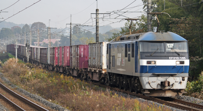 JR貨物EF210形電気機関車 EF210-145 蒲須坂駅 鉄道フォト・写真 by スーパー金太郎さん | レイルラボ(RailLab)