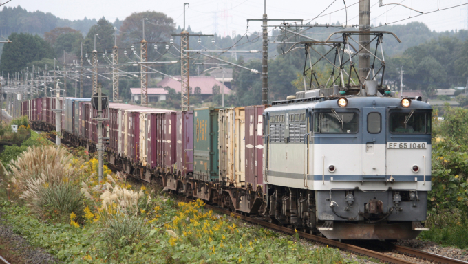 JR貨物 国鉄EF65形電気機関車 EF65-1040 蒲須坂駅 鉄道フォト・写真 by スーパー金太郎さん | レイルラボ(RailLab)