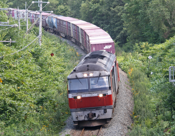 JR貨物 DF200形ディーゼル機関車 DF200-104 新得駅 鉄道フォト・写真 by スーパー金太郎さん | レイルラボ(RailLab)
