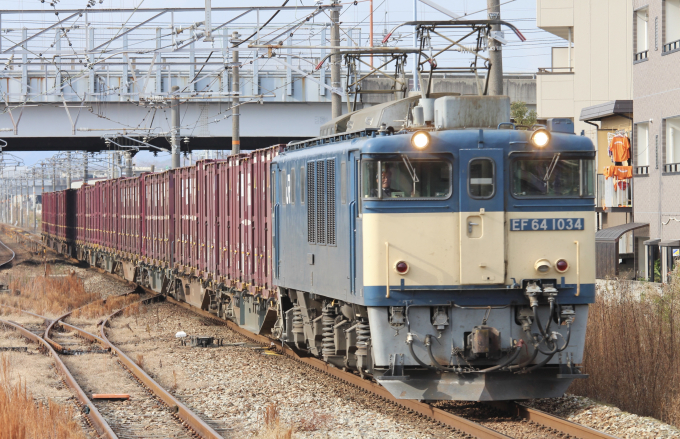 JR貨物 国鉄EF64形電気機関車 EF64-1034 中庄駅 鉄道フォト・写真 by スーパー金太郎さん | レイルラボ(RailLab)