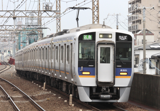 南海電鉄 南海8300系電車 8301 石津川駅 鉄道フォト・写真 by スーパー金太郎さん | レイルラボ(RailLab)