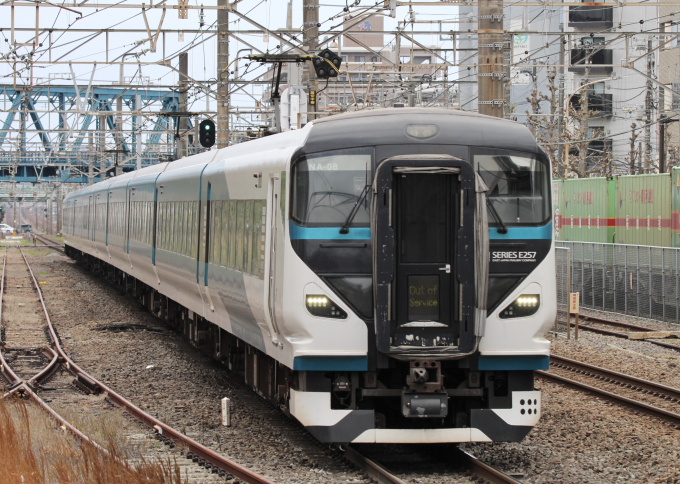 JR東日本E257系電車 クハE257-2110 藤沢駅 (JR) 鉄道フォト・写真 by スーパー金太郎さん | レイルラボ(RailLab)