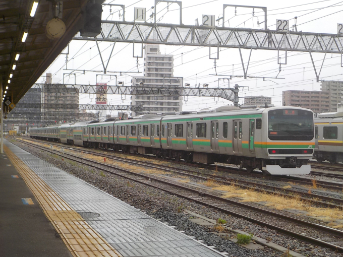 JR東日本E231系電車 クハE230-8087 宇都宮駅 鉄道フォト・写真 by ヒヨドリさん | レイルラボ(RailLab)