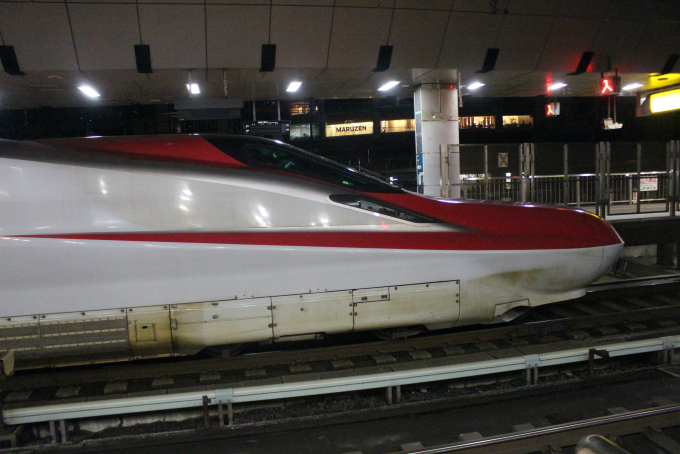 JR東日本 E6系新幹線電車 東京駅 (JR) 鉄道フォト・写真 by ヒヨドリさん | レイルラボ(RailLab)