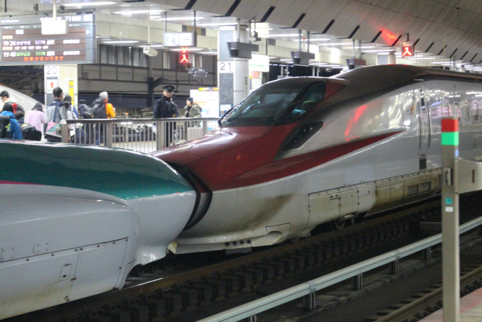 JR東日本 E611-1 (E6系新幹線) 車両ガイド | レイルラボ(RailLab)