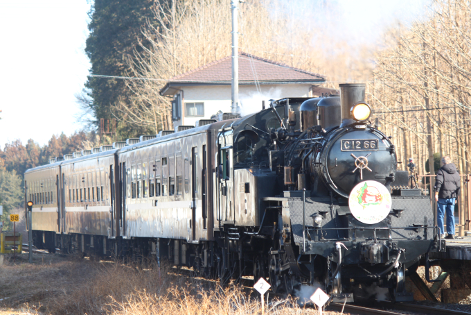 真岡鐵道 国鉄C12形蒸気機関車 C12 66 天矢場駅 鉄道フォト・写真 by ヒヨドリさん | レイルラボ(RailLab)