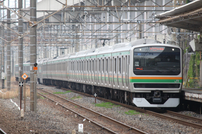 JR東日本E231系電車 クハE231-8017 小山駅 鉄道フォト・写真 by ヒヨドリさん | レイルラボ(RailLab)