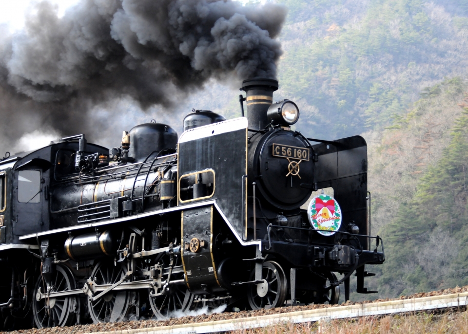 JR西日本 国鉄C56形蒸気機関車 SLやまぐち号 C56 160 長門峡駅 鉄道フォト・写真(拡大) by マイクさん | レイルラボ ...