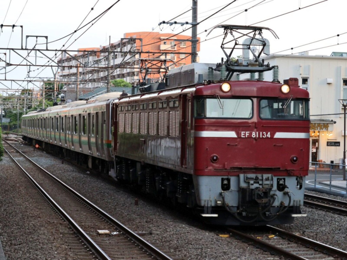 JR東日本 EF81 134 西国分寺駅 鉄道フォト・写真 by 準急清澄さん | レイルラボ(RailLab)