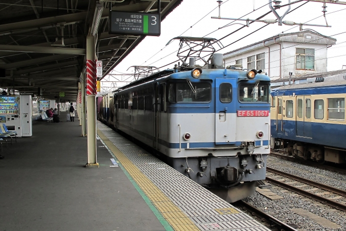 JR貨物 国鉄EF65形電気機関車 EF65 1067 成田駅 鉄道フォト・写真 by konomaさん | レイルラボ(RailLab)