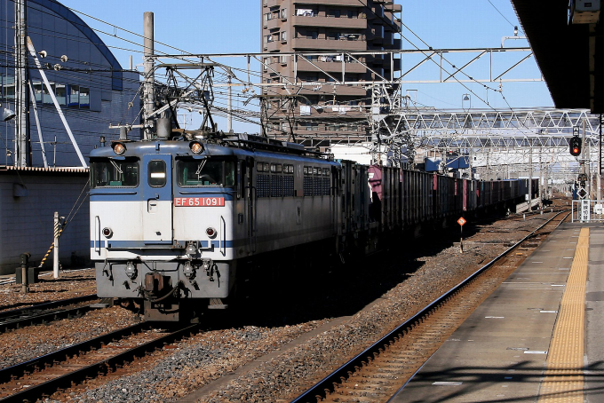 JR貨物 国鉄EF65形電気機関車 EF65-1091 蘇我駅 鉄道フォト・写真 by konomaさん | レイルラボ(RailLab)