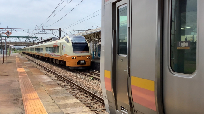 JR東日本E653系電車 いなほ クロE652-1003 新発田駅 鉄道フォト・写真 by 455-701さん | レイルラボ(RailLab)