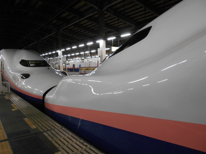 JR東日本 E4系新幹線電車 Maxとき E4 新潟駅 鉄道フォト・写真 by じーぶいさん | レイルラボ(RailLab)