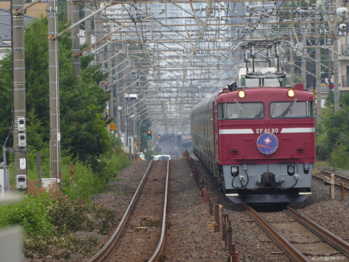 JR東日本 国鉄EF81形電気機関車 カシオペア紀行 EF8180 土呂駅 鉄道フォト・写真 by 関東圏撮り鉄さん | レイルラボ(RailLab)