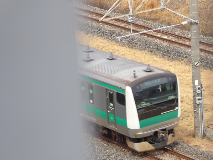 JR東日本E233系電車 鉄道博物館駅 鉄道フォト・写真 by 関東圏撮り鉄さん | レイルラボ(RailLab)