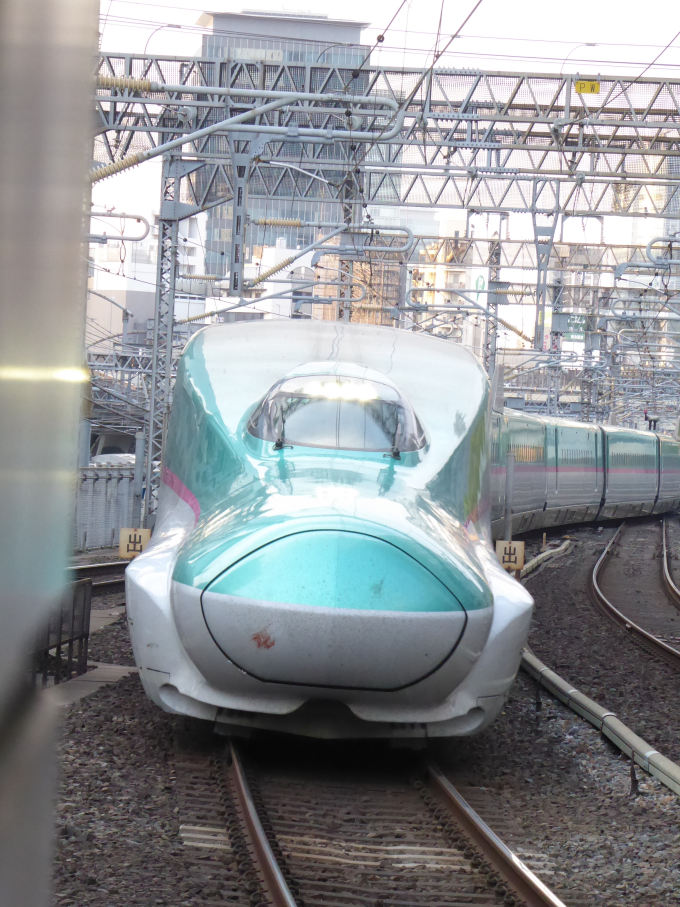 JR東日本 E5系新幹線電車 E523-9 東京駅 (JR) 鉄道フォト・写真 by 関東圏撮り鉄さん | レイルラボ(RailLab)