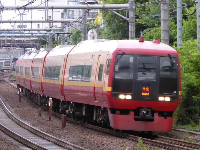 JR東日本253系電車 日光 クハ253-1002 目白駅 鉄道フォト・写真 by 関東圏撮り鉄さん | レイルラボ(RailLab)