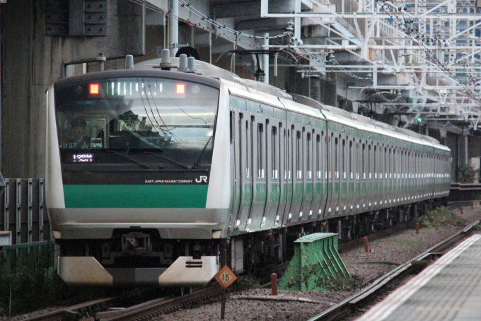 JR東日本E233系電車 クハE233-7007 西大井駅 鉄道フォト・写真 by クラY15さん | レイルラボ(RailLab)