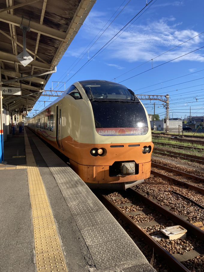 JR東日本E653系電車 いなほ クハE653-1005 酒田駅 鉄道フォト・写真 by 大吉さん | レイルラボ(RailLab)