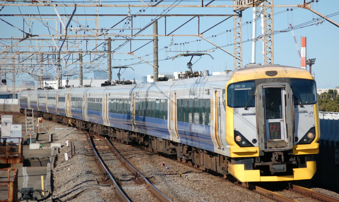 JR東日本E257系電車 わかしお クハE256-519 葛西臨海公園駅 鉄道フォト・写真 by えぬてぃーさん | レイルラボ(RailLab)