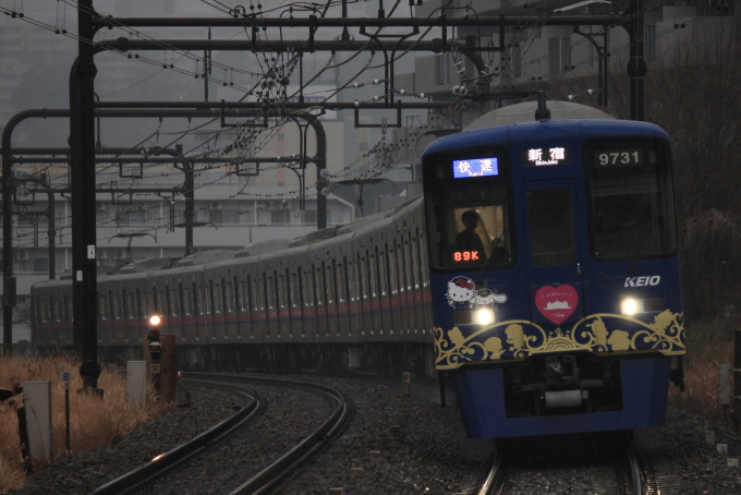 京王電鉄 京王9000系電車 サンリオラッピングトレイン 9731 京王永山駅 鉄道フォト・写真 by だいっぴーさん | レイルラボ(RailLab)
