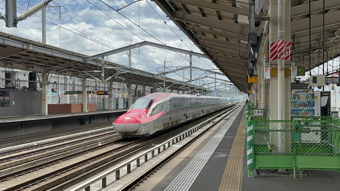 JR東日本 E6系新幹線電車 こまち 福島駅 (福島県|JR) 鉄道フォト・写真 by kunio0218さん | レイルラボ(RailLab)