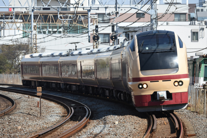 JR東日本E653系電車 特急鎌倉 戸塚駅 (JR) 鉄道フォト・写真 by しじみさん | レイルラボ(RailLab)