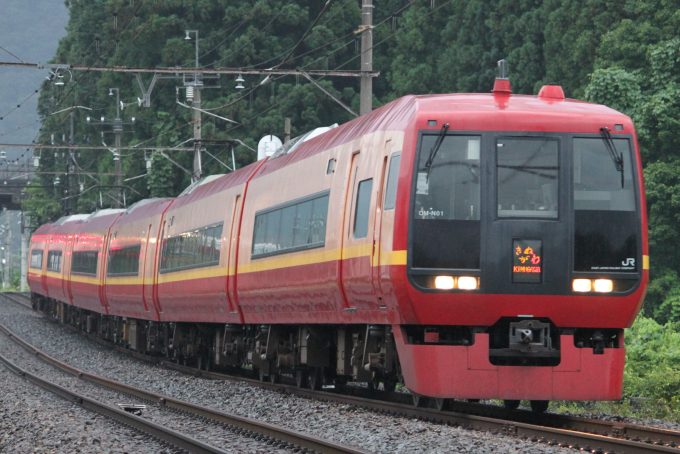 JR東日本253系電車 きぬがわ クハ253-1001 鬼怒川温泉駅 鉄道フォト・写真 by かいり@京急民さん | レイルラボ(RailLab)