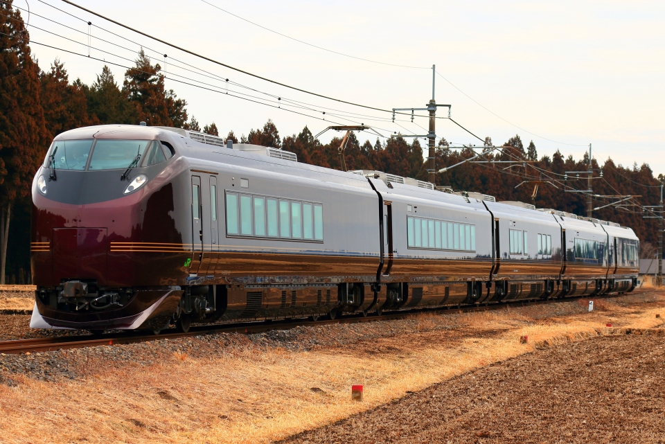 JR東日本E655系電車 なごみ E655-1 今市駅 鉄道フォト・写真(拡大) by on-chanさん | レイルラボ(RailLab)