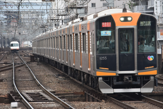 阪神電鉄 阪神1000系電車 1255 鶴橋駅 (近鉄) 鉄道フォト・写真 by I.K.こーいちさん | レイルラボ(RailLab)