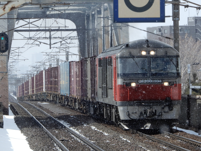 JR貨物 DF200形ディーゼル機関車 DF200-104 新札幌駅 鉄道フォト・写真 by 青い光の超特急さん | レイルラボ(RailLab)