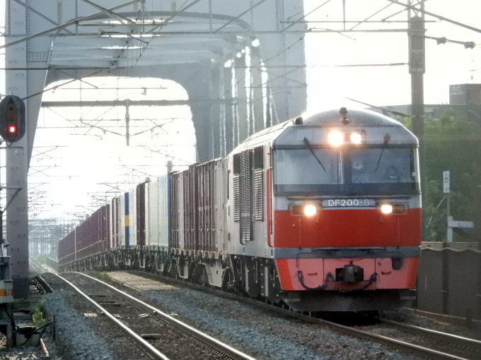 JR貨物 DF200形ディーゼル機関車 DF200-8 新札幌駅 鉄道フォト・写真 by 青い光の超特急さん | レイルラボ(RailLab)