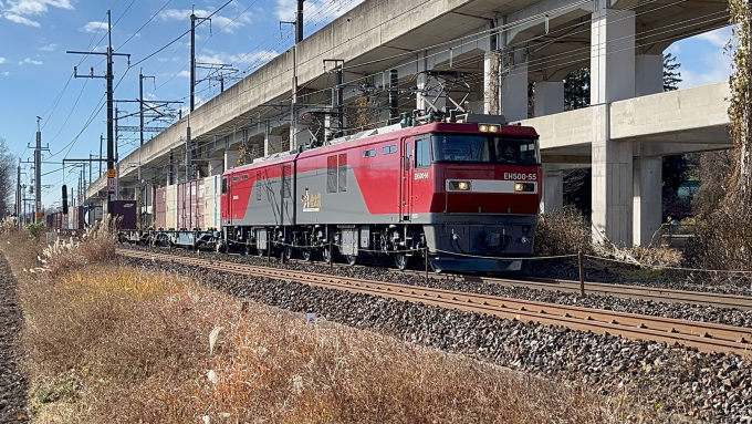 JR貨物EH500形電気機関車 EH500-55 黒磯駅 鉄道フォト・写真 by オランダ・ルクセンブルク王国さん | レイルラボ(RailLab)