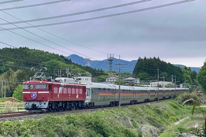JR東日本 国鉄EF81形電気機関車 EF81 80 片岡駅 鉄道フォト・写真 by オランダ・ルクセンブルク王国さん | レイルラボ(RailLab)
