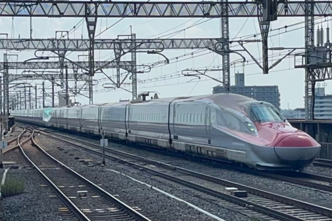 JR東日本 E6系新幹線電車 こまち E621-15 小山駅 鉄道フォト・写真 by オランダ・ルクセンブルク王国さん | レイルラボ(RailLab)