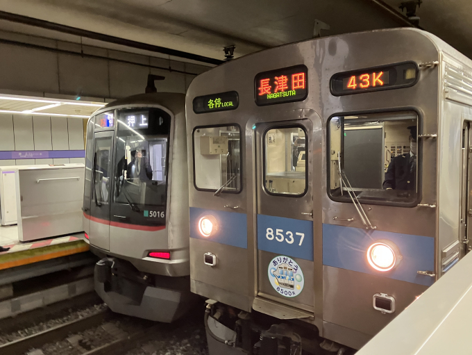 東急電鉄 東急8500系電車 8537 押上駅 (東京メトロ) 鉄道フォト・写真 by 鉄道の部屋さん | レイルラボ(RailLab)
