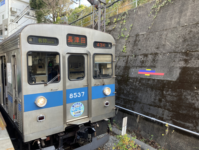 東急電鉄 東急8500系電車 8537 鷺沼駅 鉄道フォト・写真 by 鉄道の部屋さん | レイルラボ(RailLab)