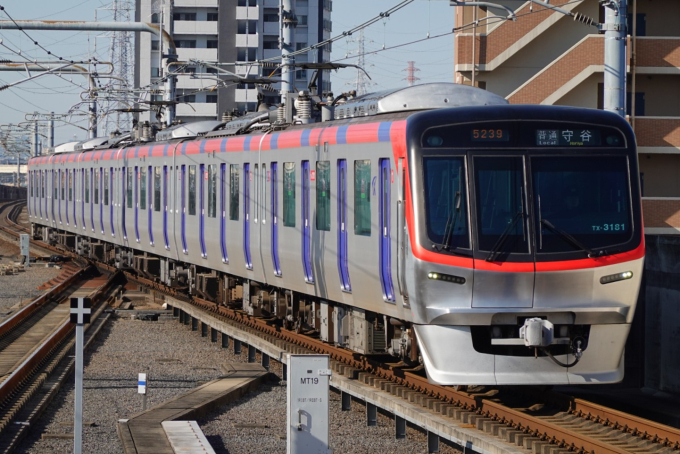 首都圏新都市鉄道TX-3000系電車 TX-3181 八潮駅 鉄道フォト・写真 by 布団が吹っ飛んださん | レイルラボ(RailLab)