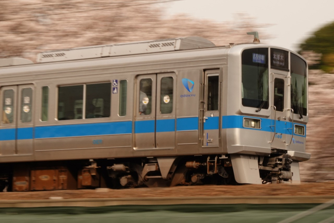 小田急電鉄 小田急1000形電車 1169 相武台前駅 鉄道フォト・写真 by イガナさん | レイルラボ(RailLab)