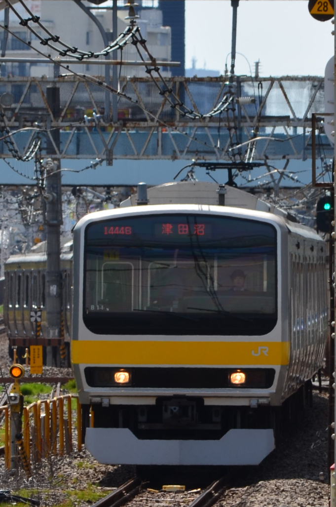 JR東日本E231系電車 クハE231-11 中野駅 (東京都|JR) 鉄道フォト・写真 by vivace115さん | レイルラボ(RailLab)