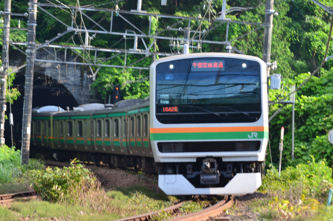 JR東日本E231系電車 クハE231-8012 根府川駅 鉄道フォト・写真 by vivace115さん | レイルラボ(RailLab)