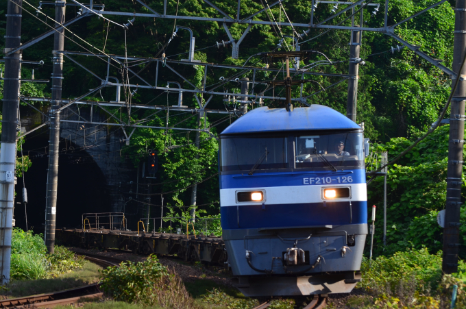 JR貨物EF210形電気機関車 EF210-126 根府川駅 鉄道フォト・写真 by vivace115さん | レイルラボ(RailLab)