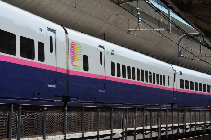 JR東日本 E2系新幹線電車 E215-1020 東京駅 (JR) 鉄道フォト・写真 by vivace115さん | レイルラボ(RailLab)